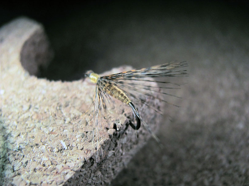 Mosca leonesa ahogada oro viejo pardo – Pesca con mosca de León