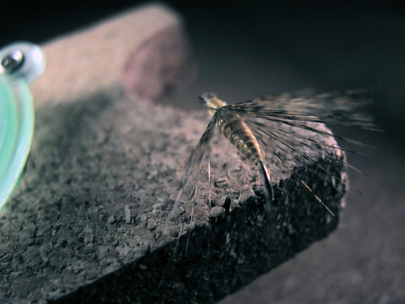 Mosca leonesa ahogada oro viejo pardo – Pesca con mosca de León
