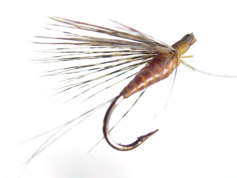 Falangista indio mosca ahogada clásica de León – Pesca con mosca de León