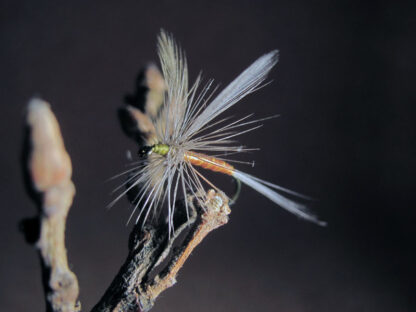 Mosca seca Efémera modelo #71carne sin muerte para finales de junio ...