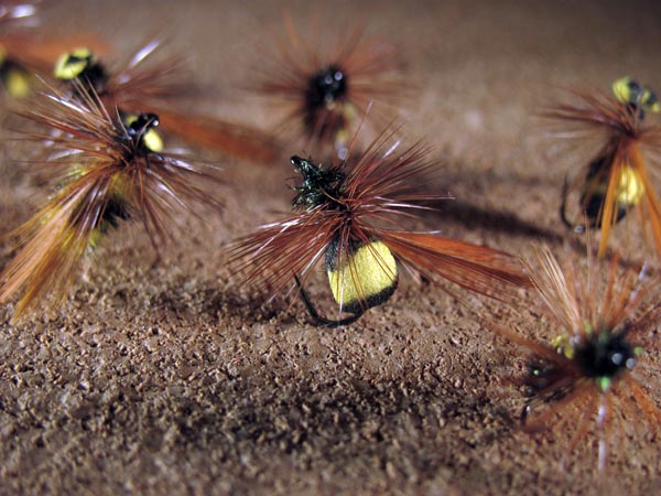 Mosca seca variedad avispa con anzuelo sin muerte – Pesca con mosca de León