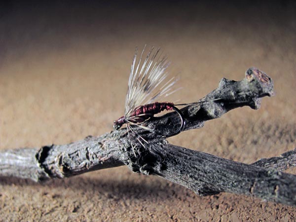 Mosca clasica de León Sangre toro con anzuelo sin muerte – Pesca con ...