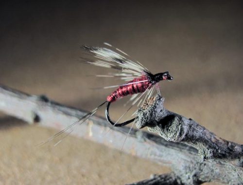 mosca ahogada archivos - Pesca con mosca de León