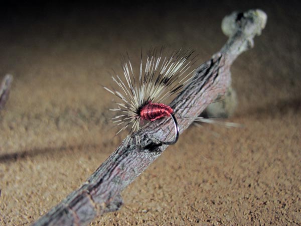 Mosca clasica de León Sangre toro con anzuelo sin muerte