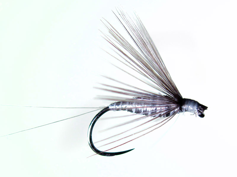 Mosca de León ahogada Gris plomo Indio sin muerte – Pesca con mosca de León