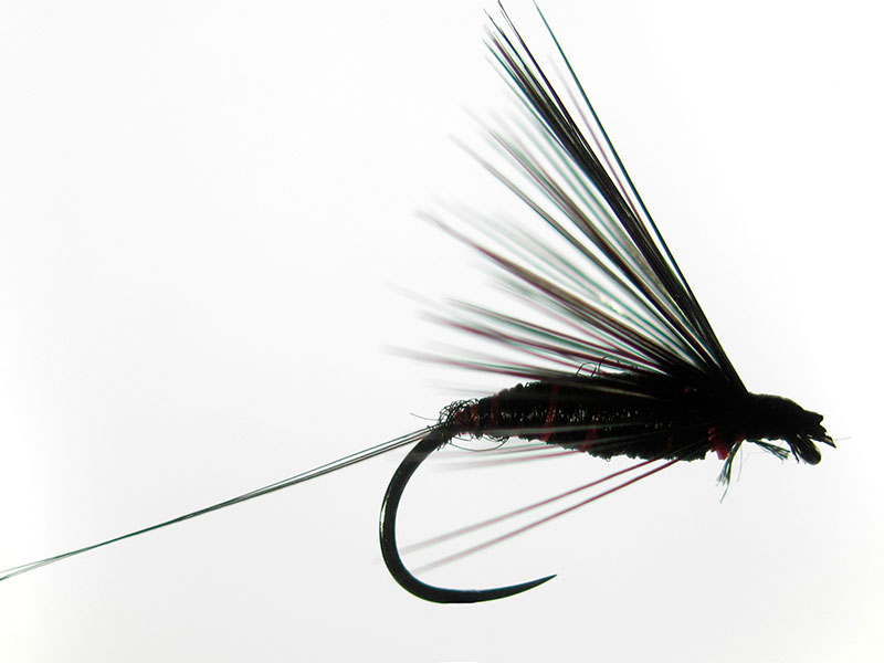 Mosca de León ahogada Negro estria roja sin muerte – Pesca con mosca de ...