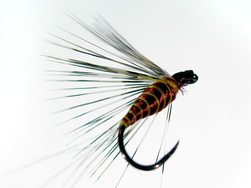 Falangista indio mosca ahogada clásica de León – Pesca con mosca de León