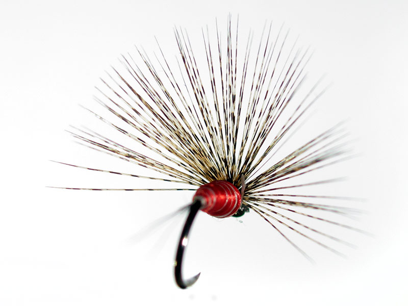 Mosca de León ahogada Rojo vivo sin muerte – Pesca con mosca de León