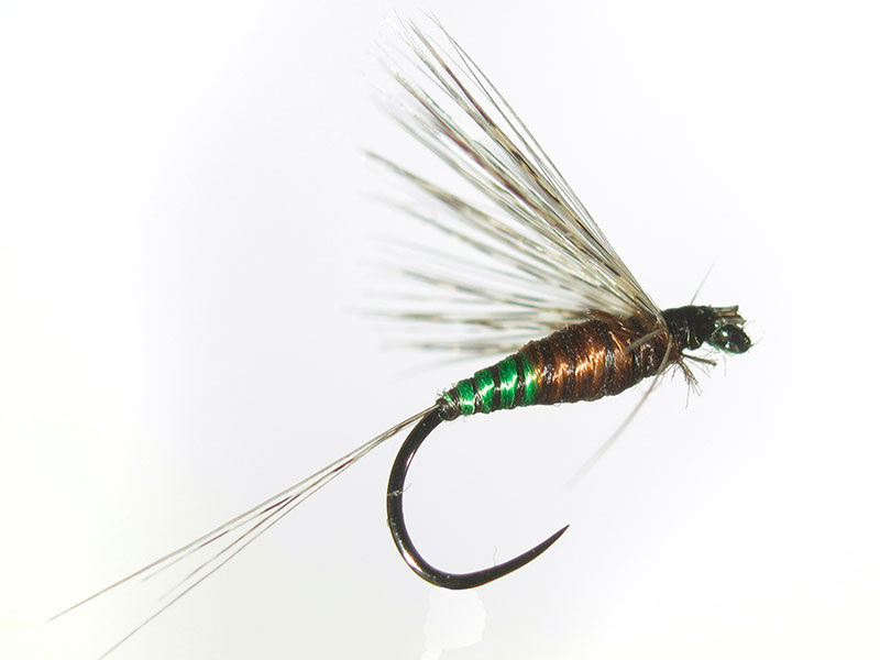 Sarnosa hembra sin muerte mosca ahogada de León – Pesca con mosca de León