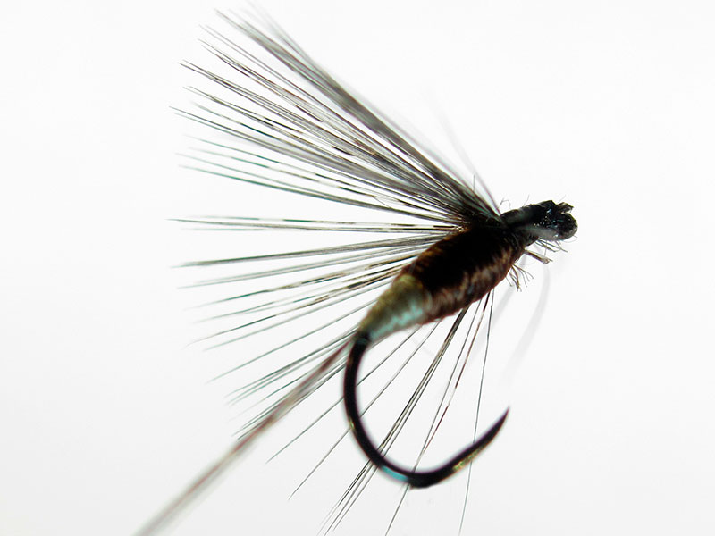 Sarnosa macho sin muerte mosca ahogada de León – Pesca con mosca de León