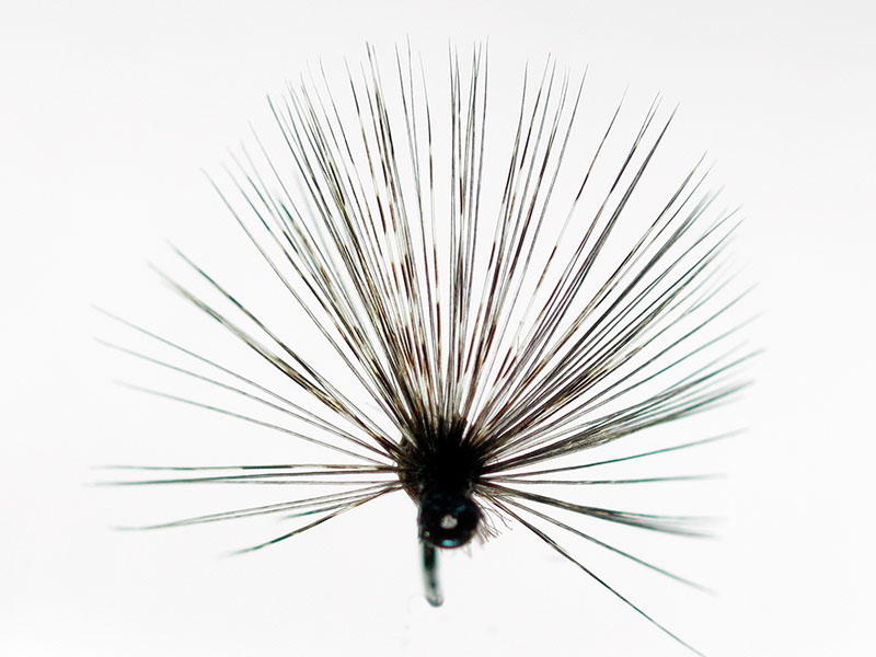 Sarnosa macho sin muerte mosca ahogada de León – Pesca con mosca de León