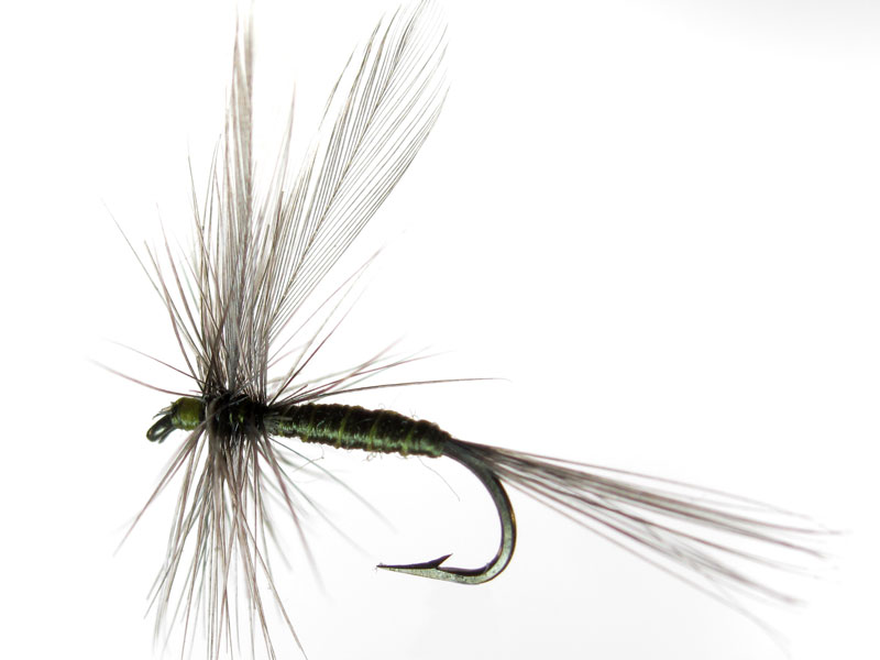 Mosca seca Efémera #64 – Pesca con mosca de León