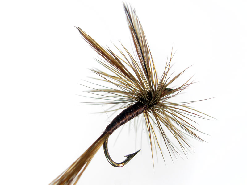 Efémera tabaco indio rubión sin muerte mosca seca – Pesca con mosca de León