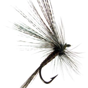 Efémera lila indio acerado sin muerte mosca seca