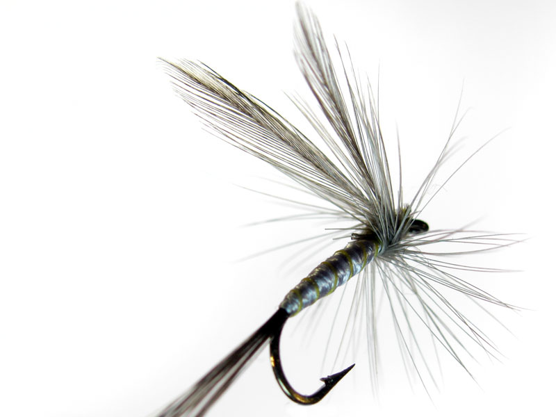 Efémera roja claro sin muerte mosca seca