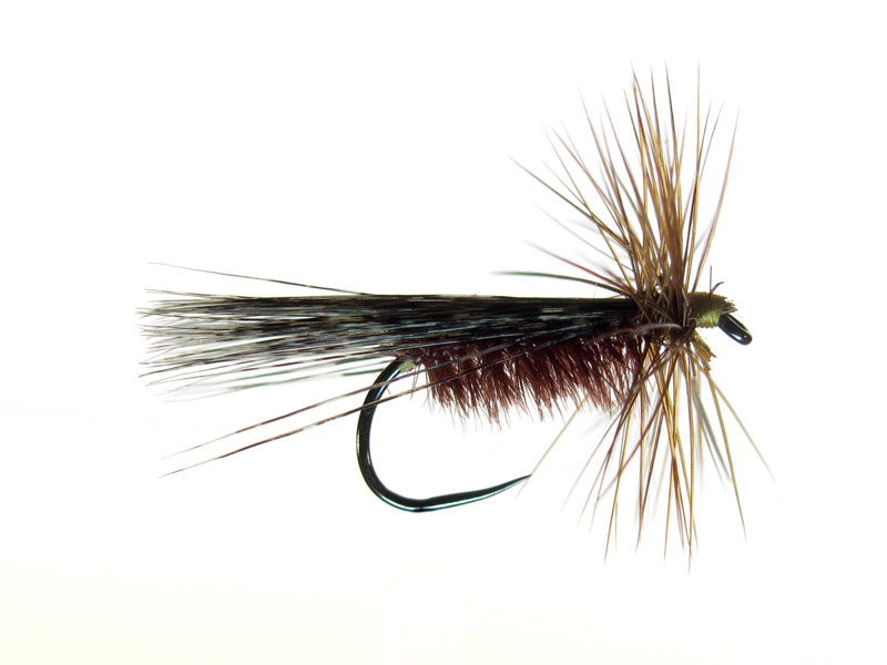 Mosca seca Tricóptero #16 sin muerte – Pesca con mosca de León