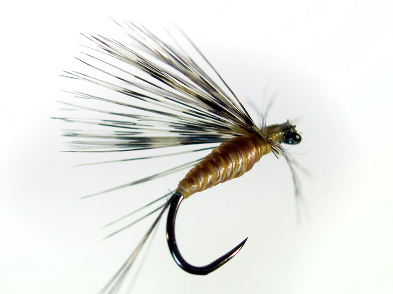 Mosca de León ahogada amarillo estría plateada sin muerte – Pesca con ...