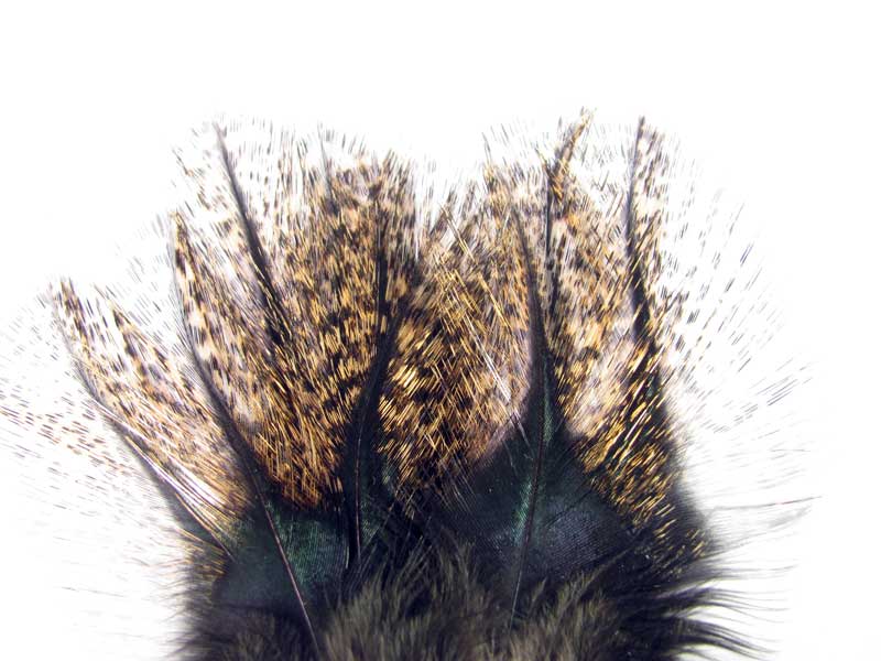 Pluma_Pardo_Flor_Escoba_Catalgo_2 – Pesca con mosca de León