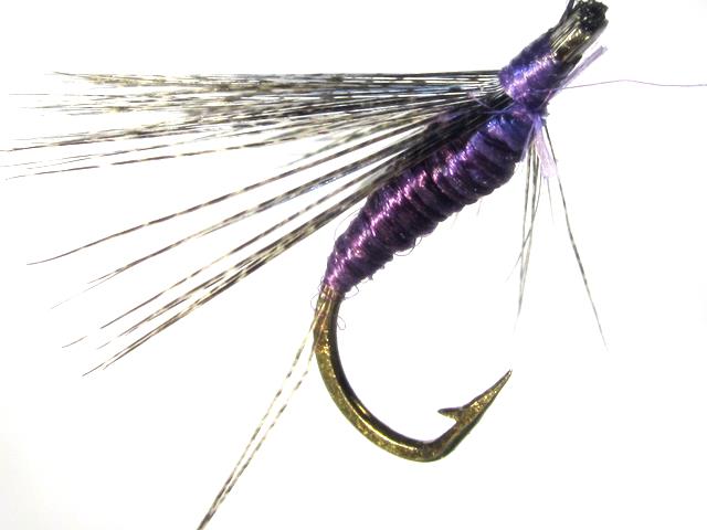 Ahogada Morado clásica de las moscas de León