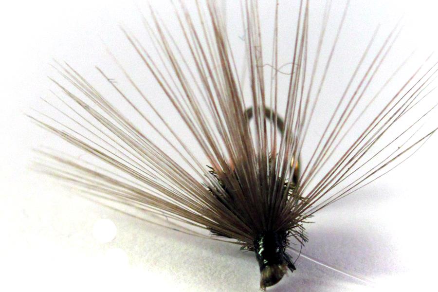 Mosca de León ahogada carne cabeza pavo real – Pesca con mosca de León