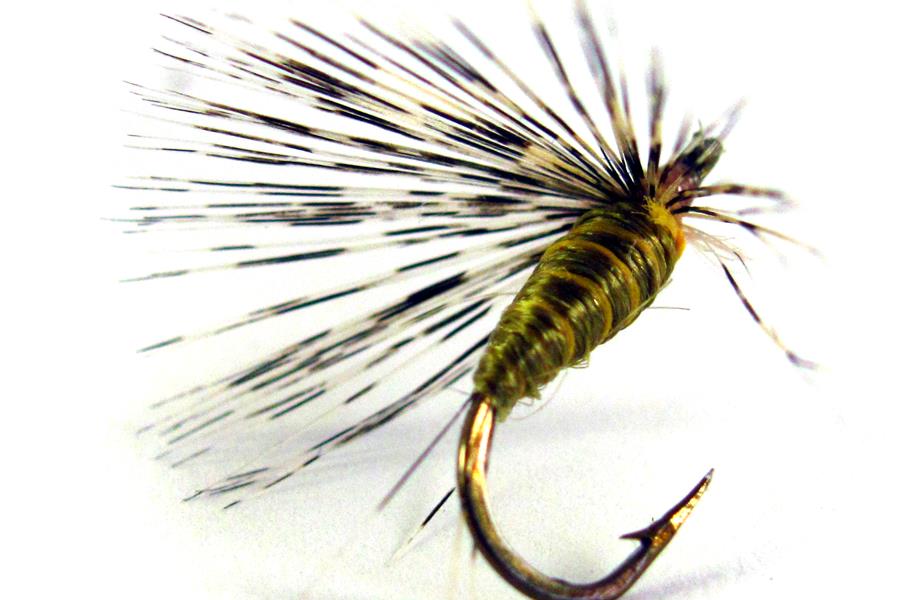 Verde aceituna pardo aconchado mosca ahogada de León – Pesca con mosca ...