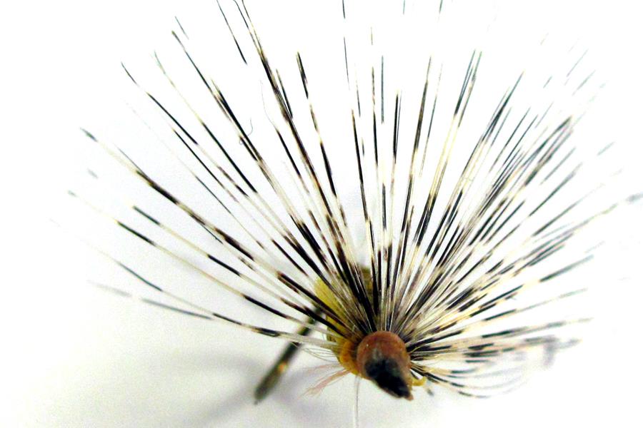 Mosca de León ahogada verde aceituna pardo aconchado – Pesca con mosca ...