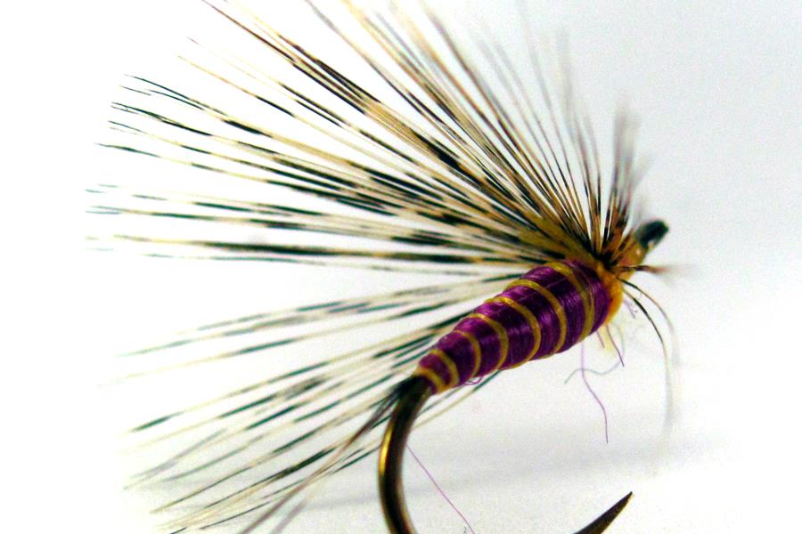 Pardon mosca ahogada clásica de León – Pesca con mosca de León