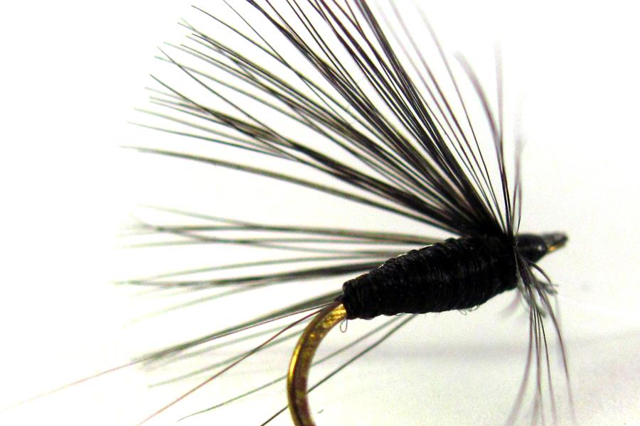 Mediados temporada – Pesca con mosca de León