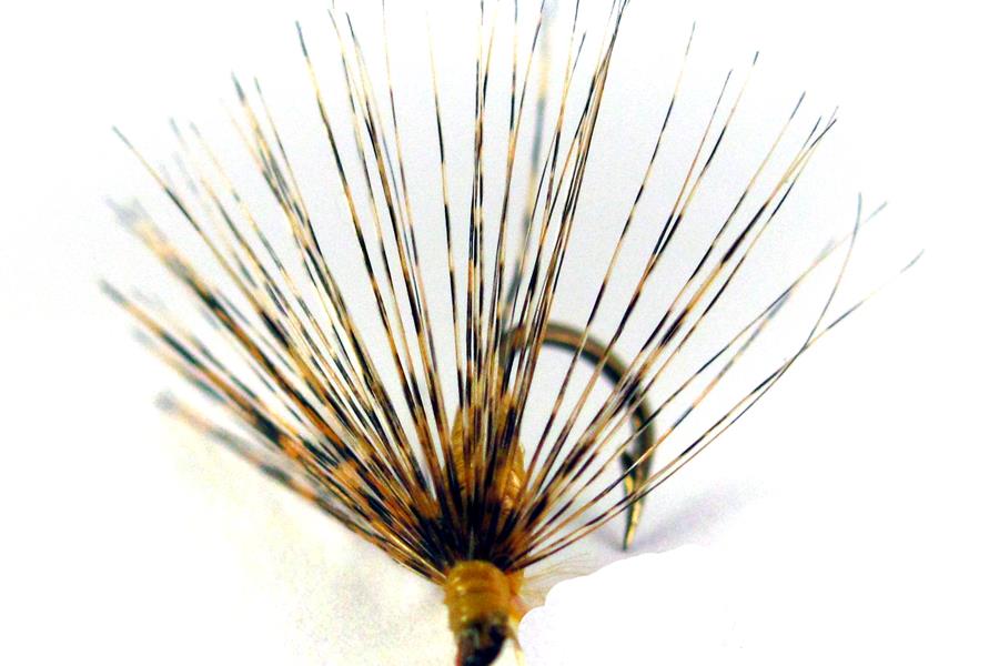 Mosca de León ahogada Oro viejo pardo flor de escoba – Pesca con mosca ...