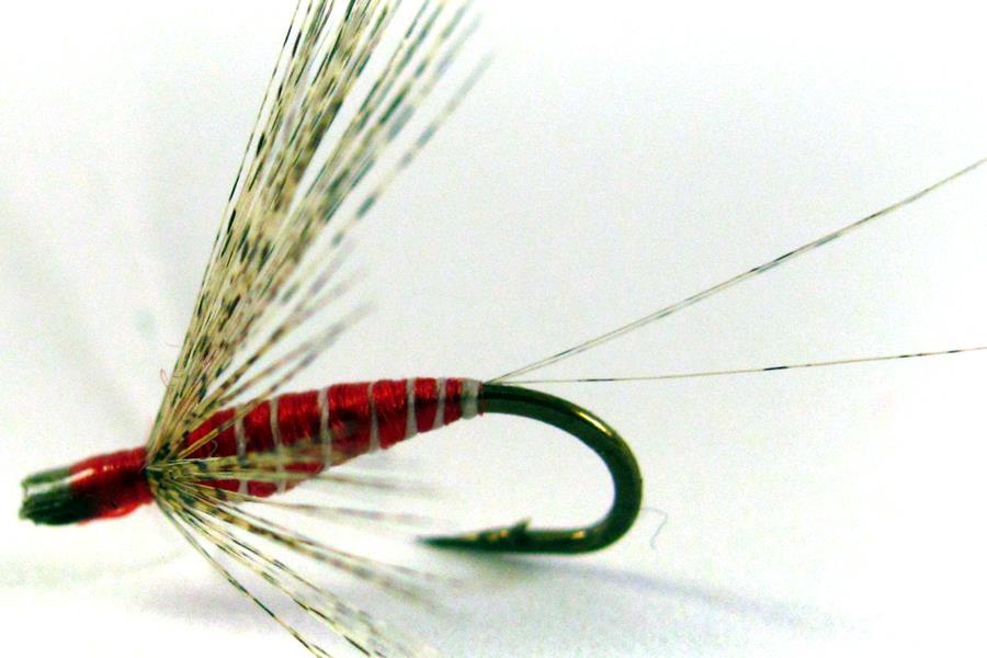 Rojo vivo pardo mosca ahogada de León – Pesca con mosca de León