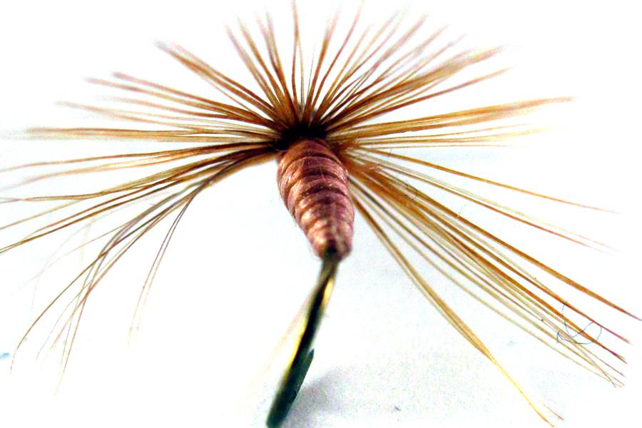 Rosa palo Indio mosca ahogada de León – Pesca con mosca de León