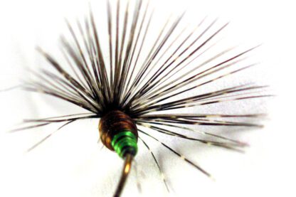 Mosca de León ahogada Sarnosa hembra Pardo oscuro – Pesca con mosca de León