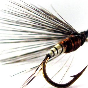 Mosca de León ahogada sarnosa hembra pluma Pardo oscuro