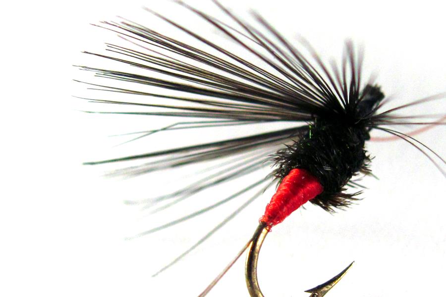 Falangista indio mosca ahogada clásica de León – Pesca con mosca de León