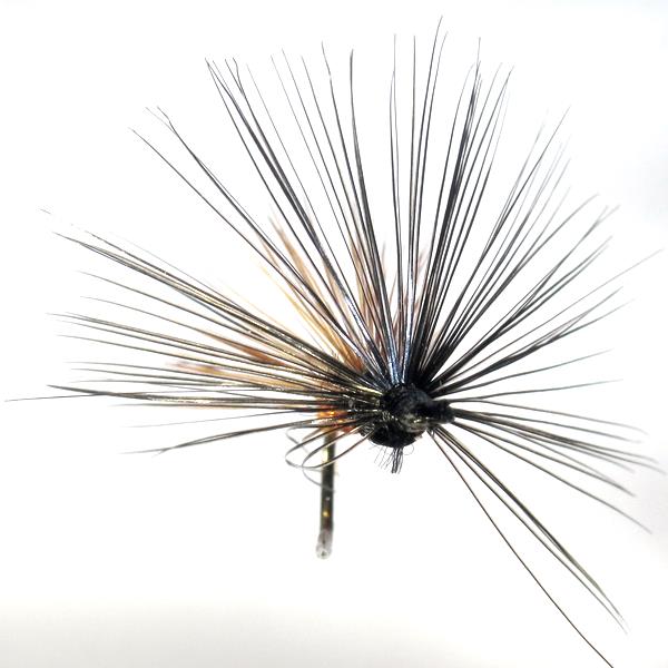 Mosca de León saltona butano rubión – Pesca con mosca de León