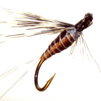 Mosca de León ahogada Sarnosa hembra Pardo oscuro – Pesca con mosca de León